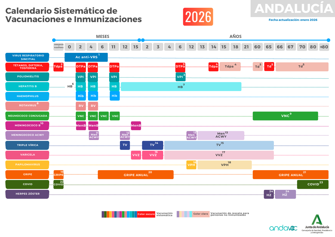 Nuevo calendario de vacunaciones e inmunizaciones 2026 - Plan de ...